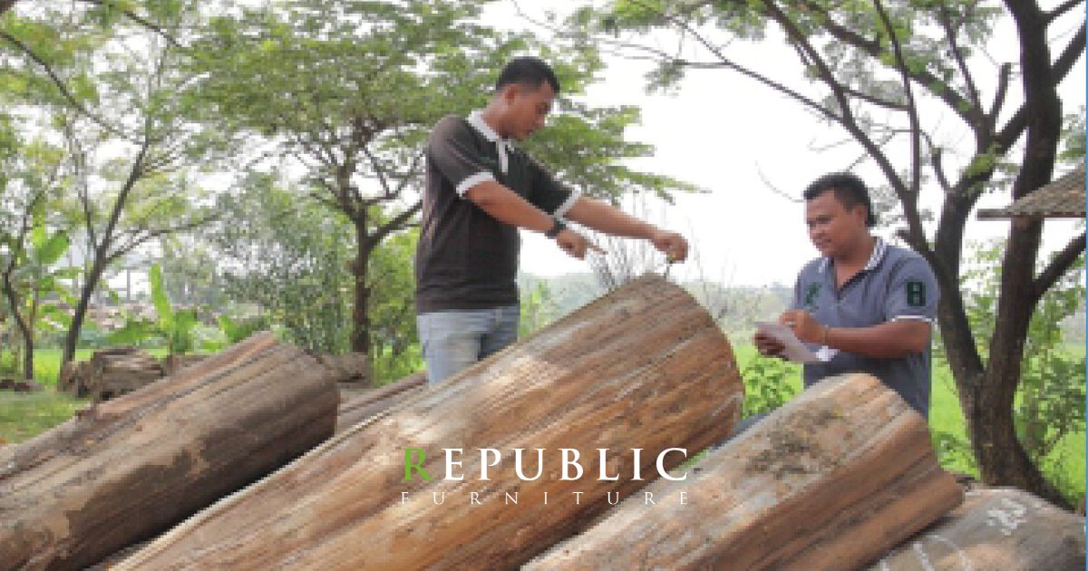 Teak Furniture Material That Last and High Durability